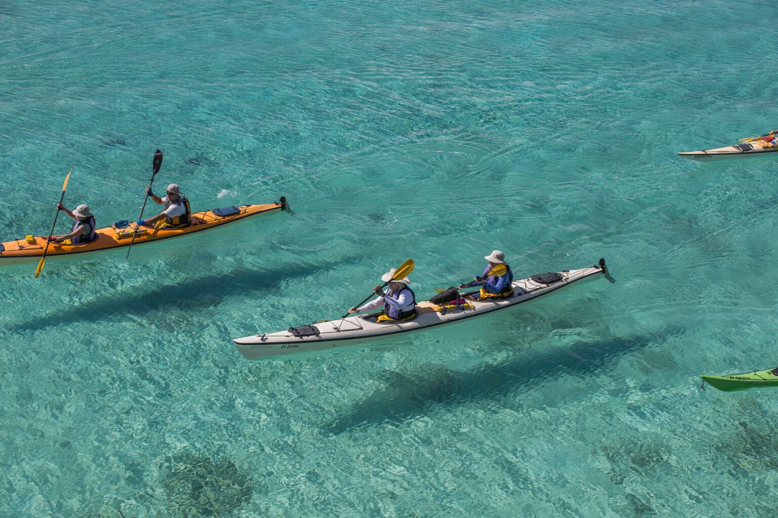 Sea Kayaking & Whale-Watching in Baja Mexico: Blue & Gray Whales | Sea ...