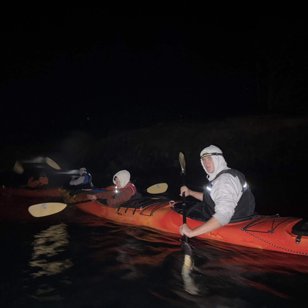 Kayak Tours Seattle | Puget Sound & San Juan Adventures | Sea Quest ...