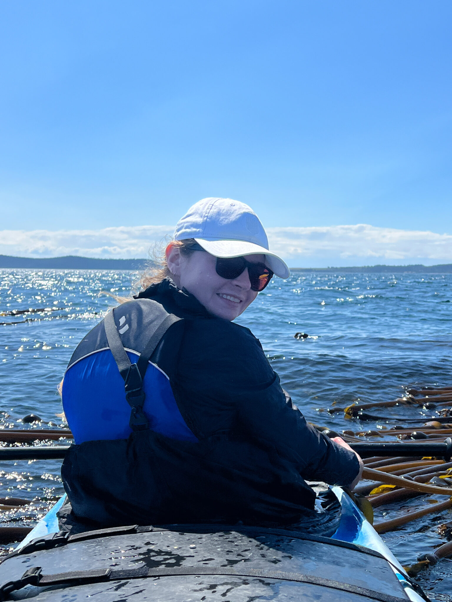 Top San Juan Islands Boat Tours and How to Choose the Right One | Sea ...