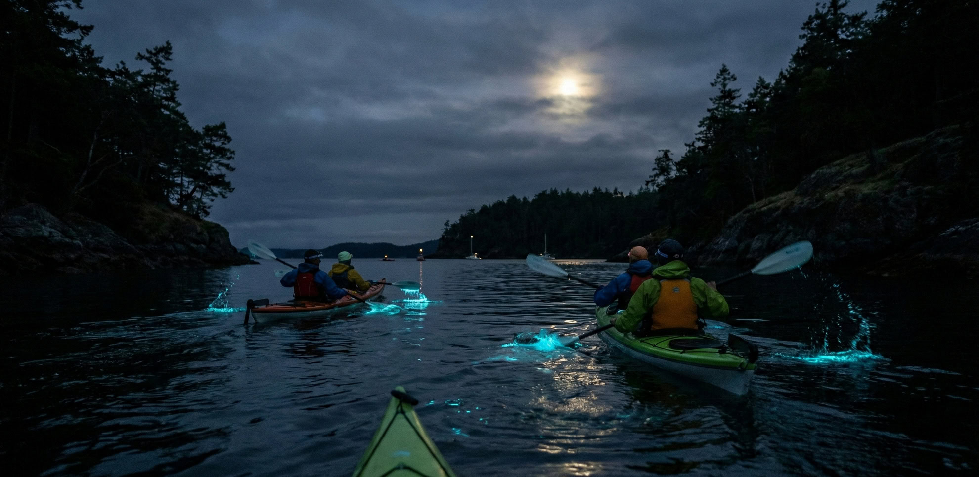 Bioluminescence Kayak Tour San Juan Islands